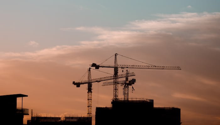 75+ Bashful Cranes Quotes That Will Unlock Your True Potential