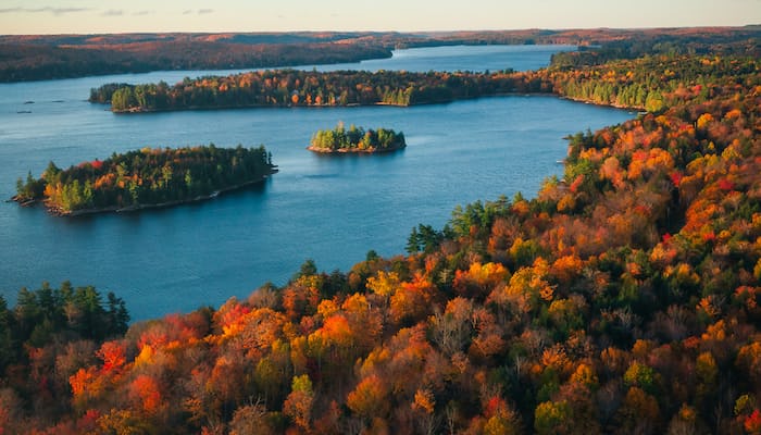 54+ Romantic Ontario Quotes That Will Unlock Your True Potential