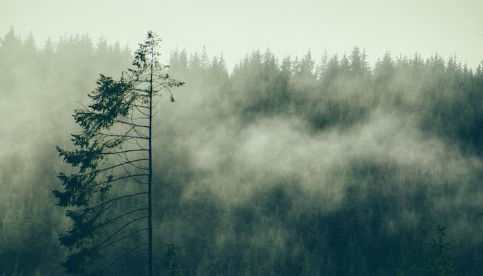12 Silent Battle Quotes to Help You Conquer Inner Struggles