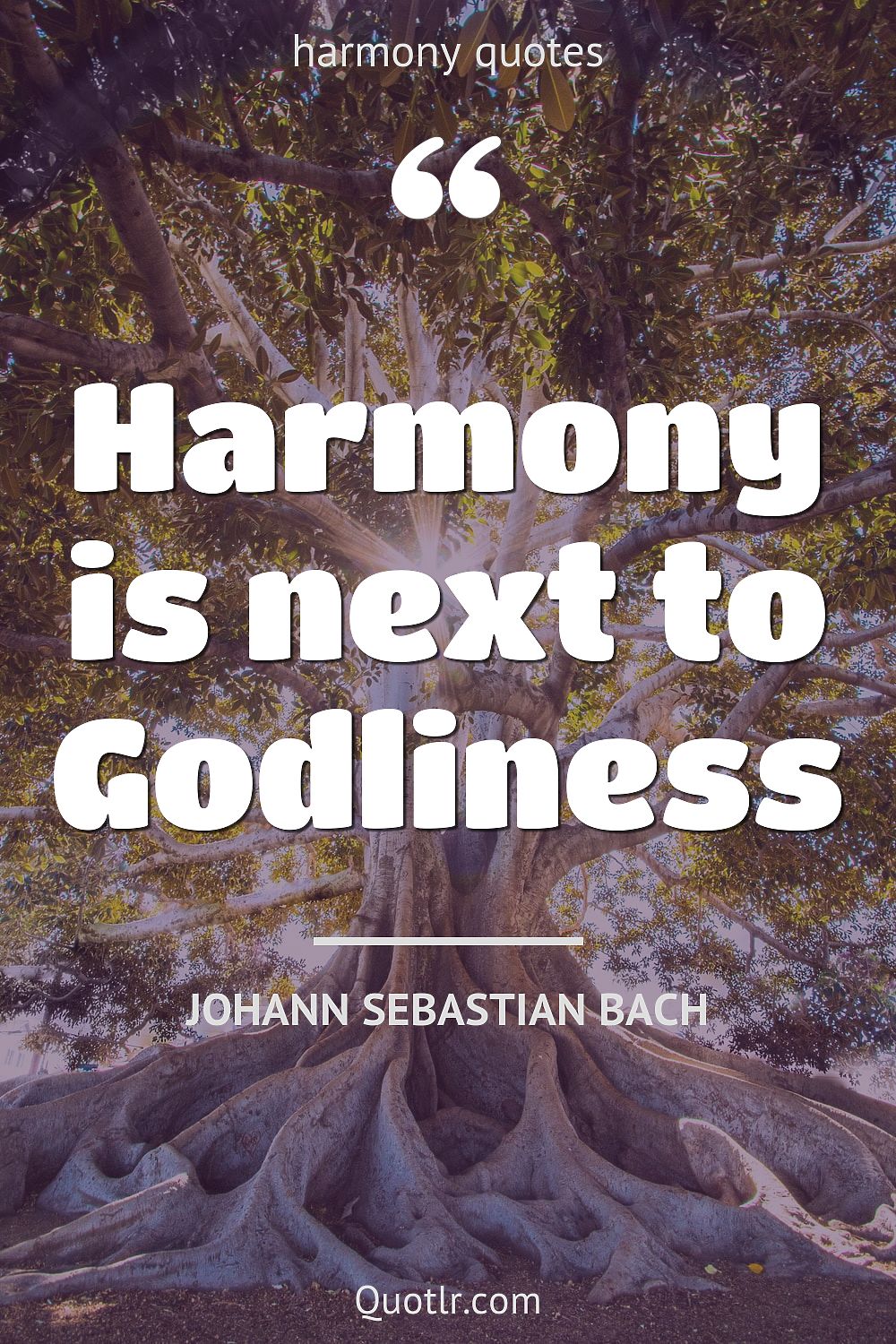 140 Sentimental Harmony In Music Quotes harmony In Music What Is 140 Sentimental Harmony In Music Quotes harmony In Music What Is