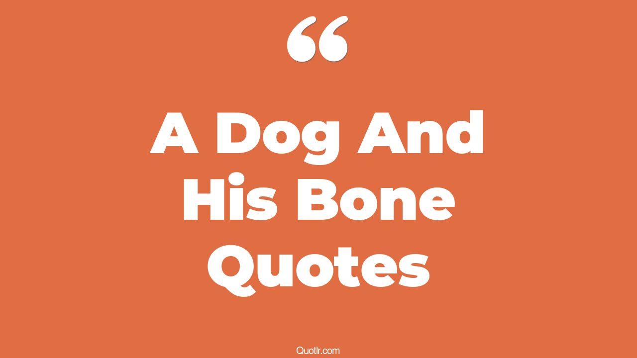 5 Revolutionary A Dog And His Bone Quotes (the patient dog eat the ...