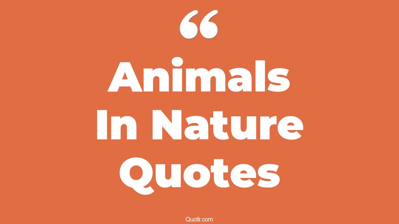 45 Competitive Animals In Nature Quotes That Will Unlock Your True