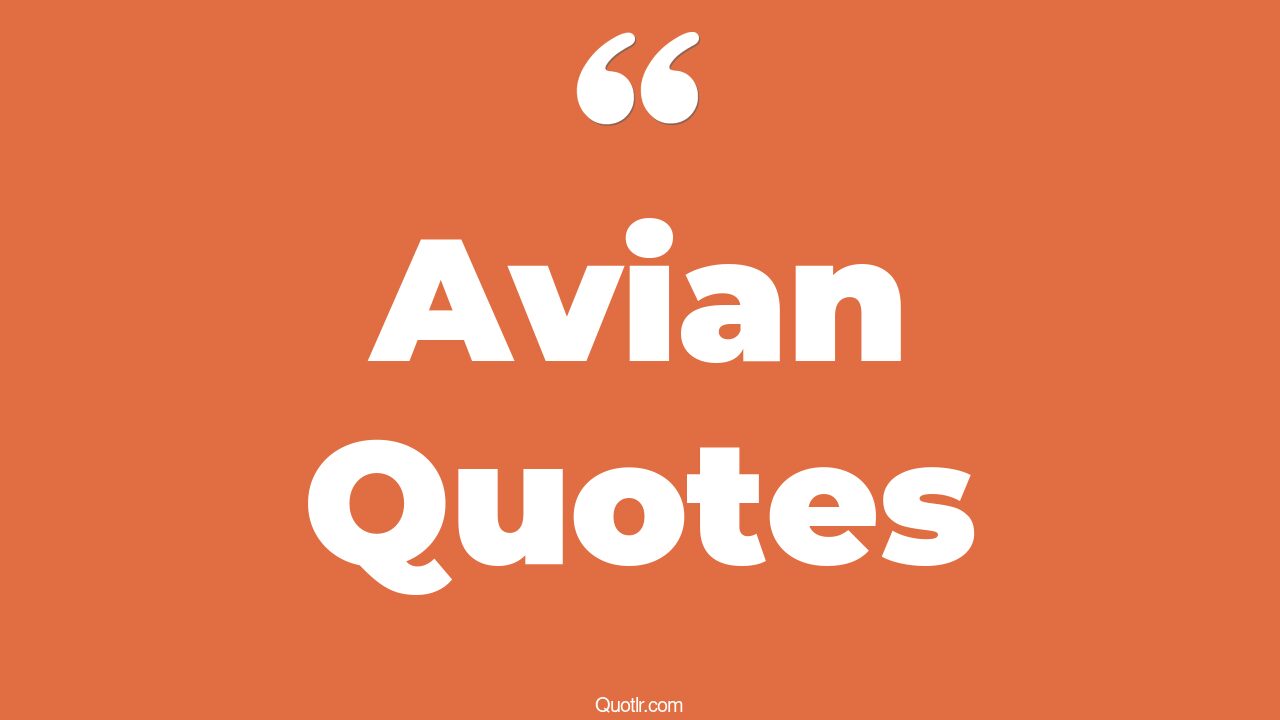 15+ Superior Avian Quotes