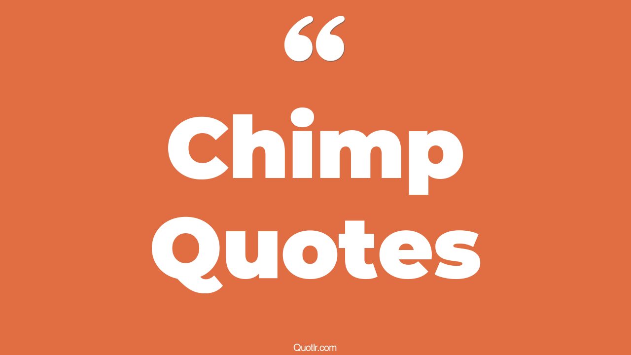 90 Revealing Chimp Quotes (chimp paradox, said the monkey to the chimp ...