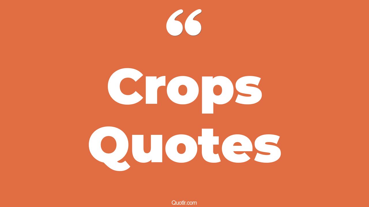 103 Joyful Crops Quotes (cream of the crop, rice crop, potato crop)