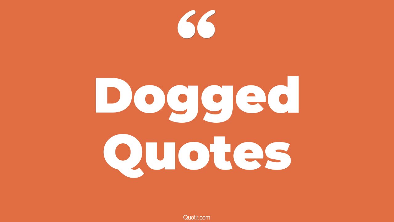 35 Devotion Dogged Quotes | i love my dog, best dog quotes