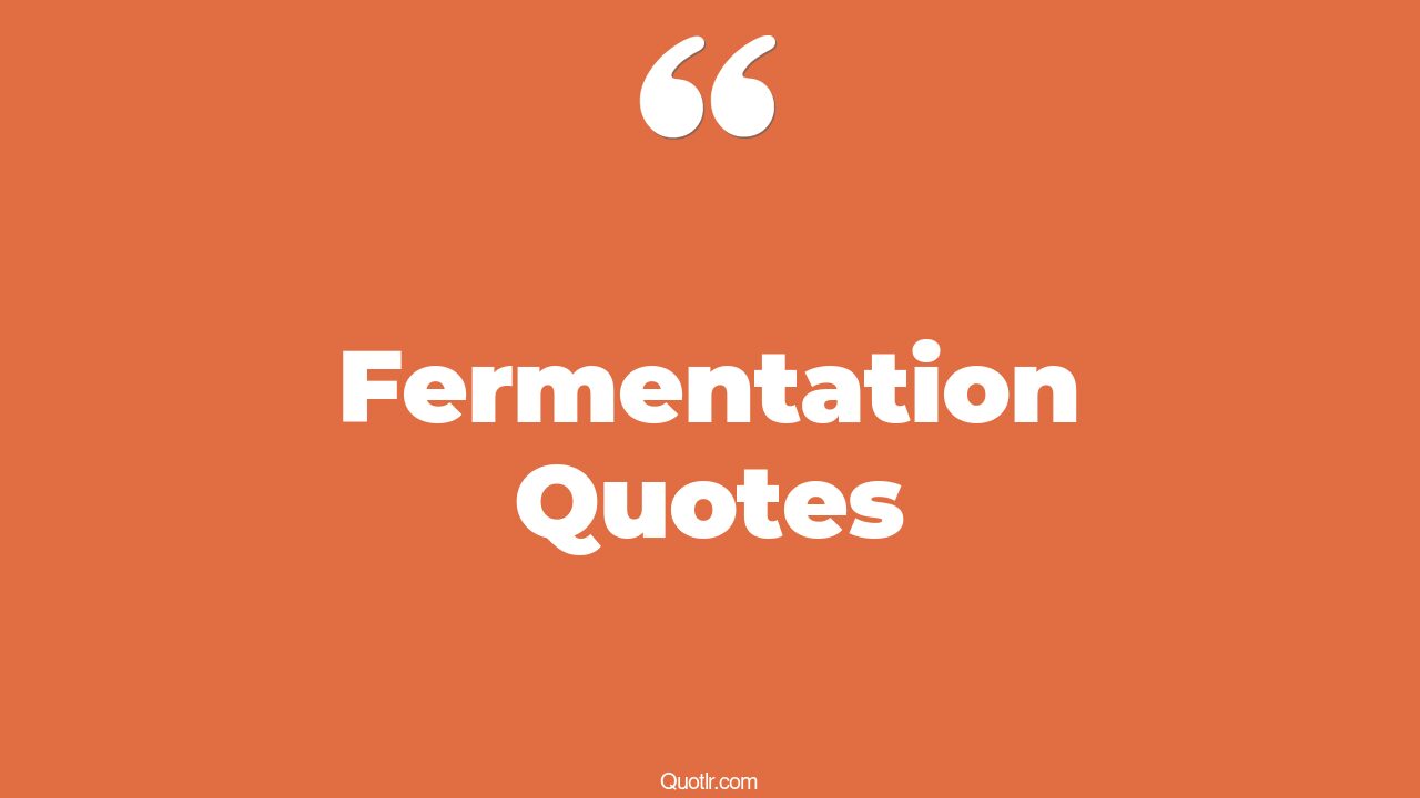 Fermentation Quotes Lactic Acid Fermentation: Definition,