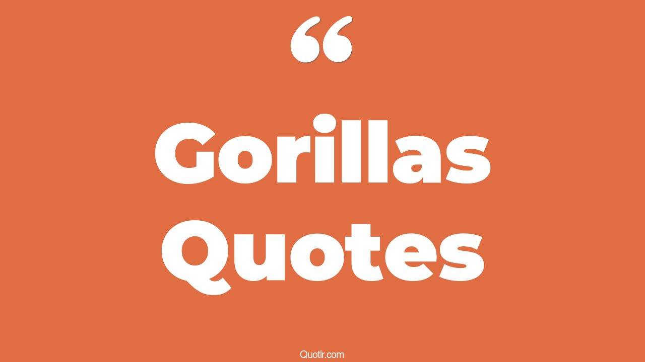 35+ Eye-Opening Gorillas Quotes That Will Inspire Your Inner Self