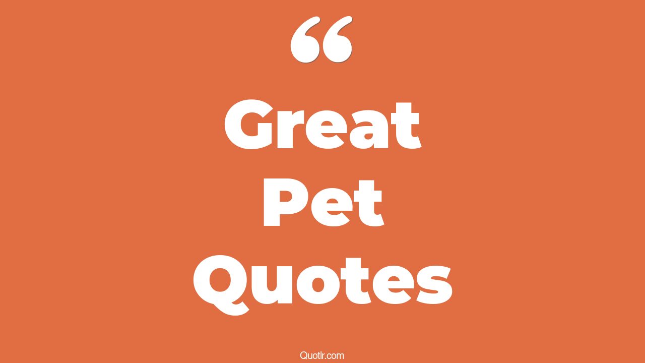 45 Lavish Great Pet Quotes That Will Unlock Your True Potential