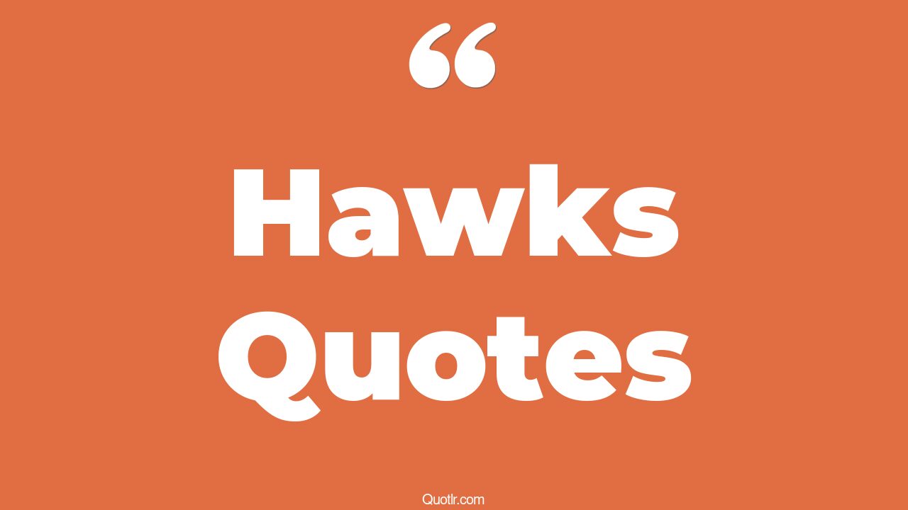 45+ Eye-Opening Hawks Quotes That Will Inspire Your Inner Self