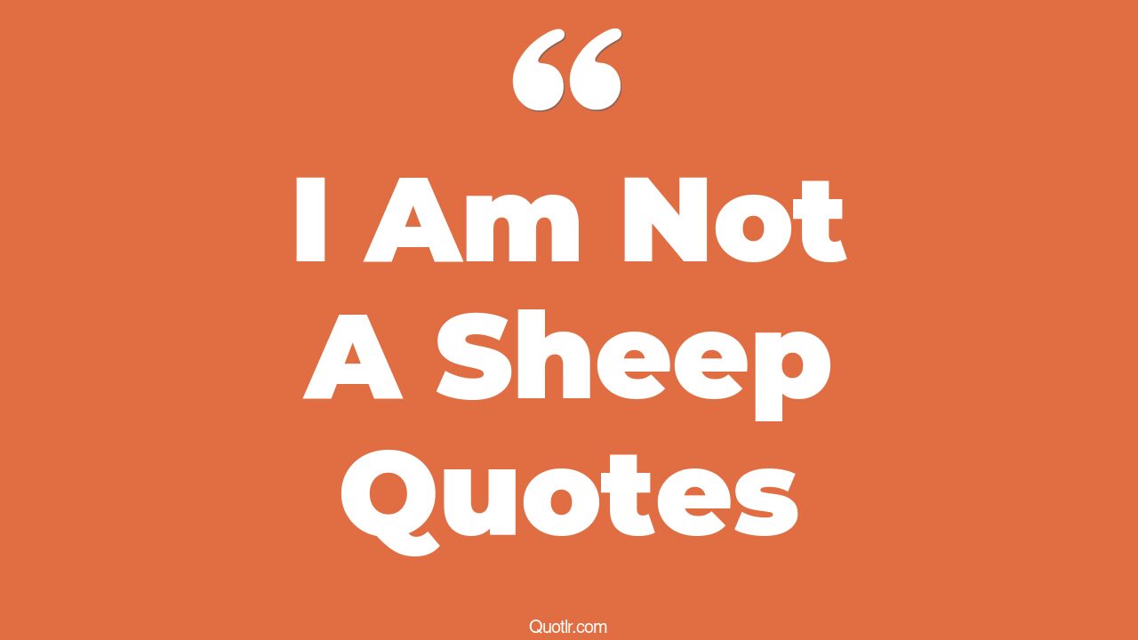 4+ Colossal I Am Not A Sheep Quotes