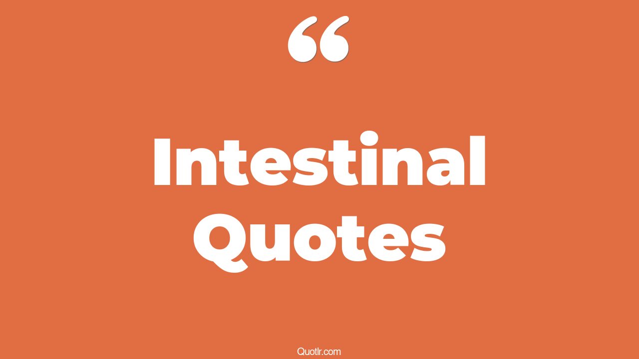 134 Blissful Intestinal Quotes (intestinal fortitude, tummy full ...