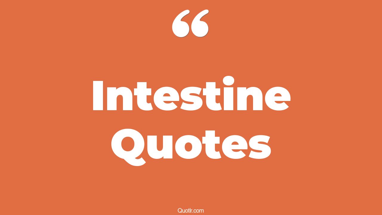 134 Blissful Intestine Quotes (intestinal fortitude, tummy full, digestion)