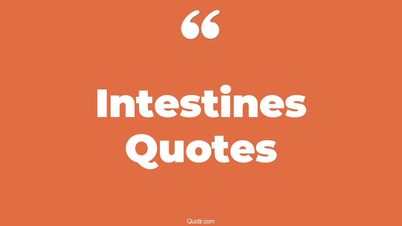 134 Blissful Intestines Quotes (intestinal fortitude, tummy full ...