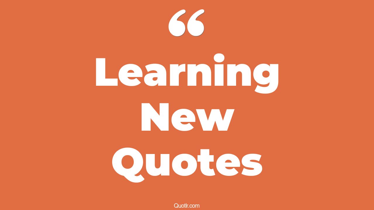 45+ Delightful Learning New Quotes That Will Unlock Your True Potential