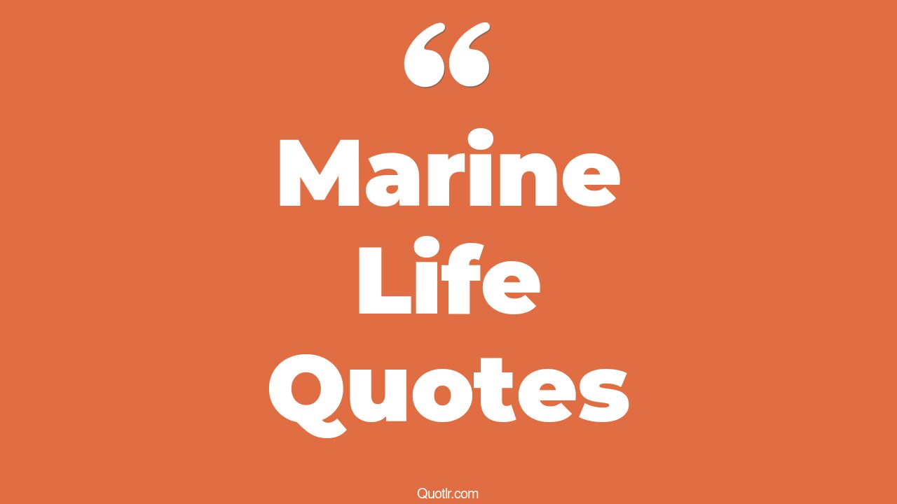 45+ Off-limits Marine Life Quotes That Will Unlock Your True Potential