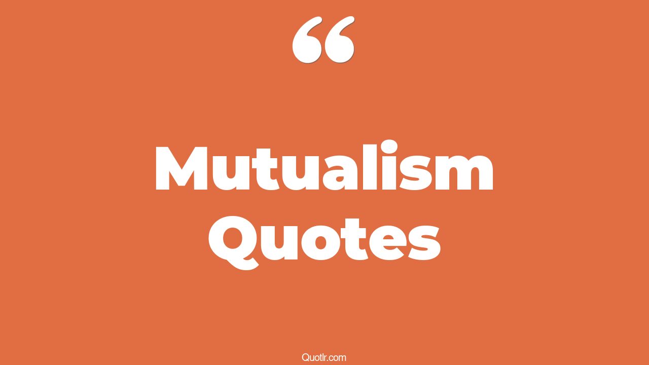 45 Staggering Mutualism Quotes | love is mutual, when love is not ...