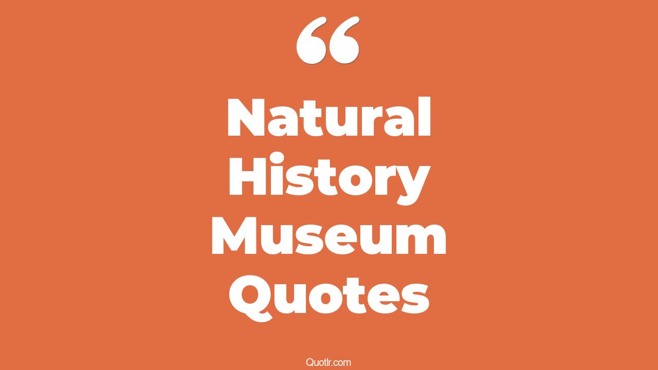 13+ Eye-Opening Natural History Museum Quotes That Will Inspire Your ...