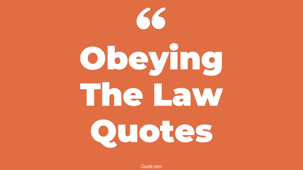 The 240 Obeying The Law Quotes Page 4 QUOTLR 