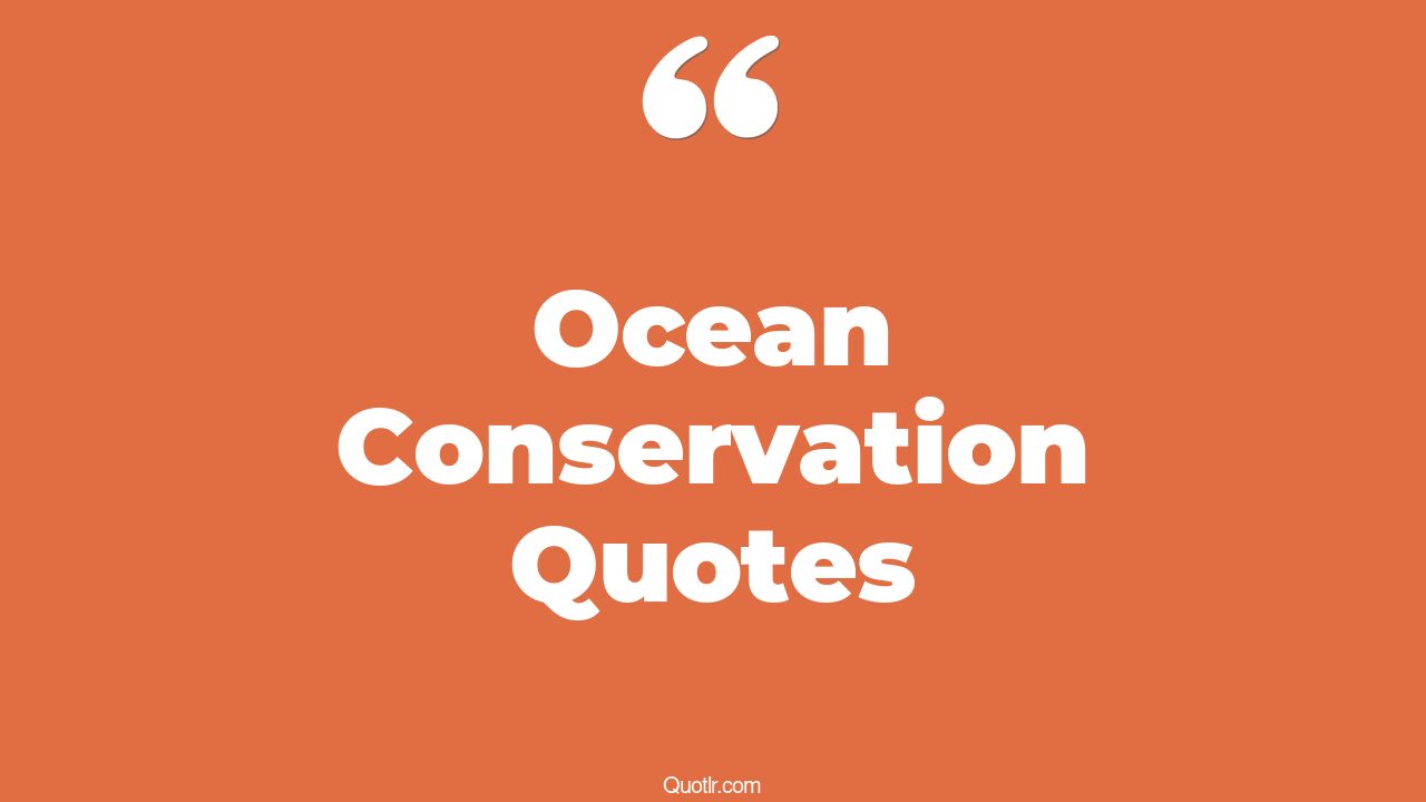 17 Unbelievable Ocean Conservation Quotes That Will Unlock Your True