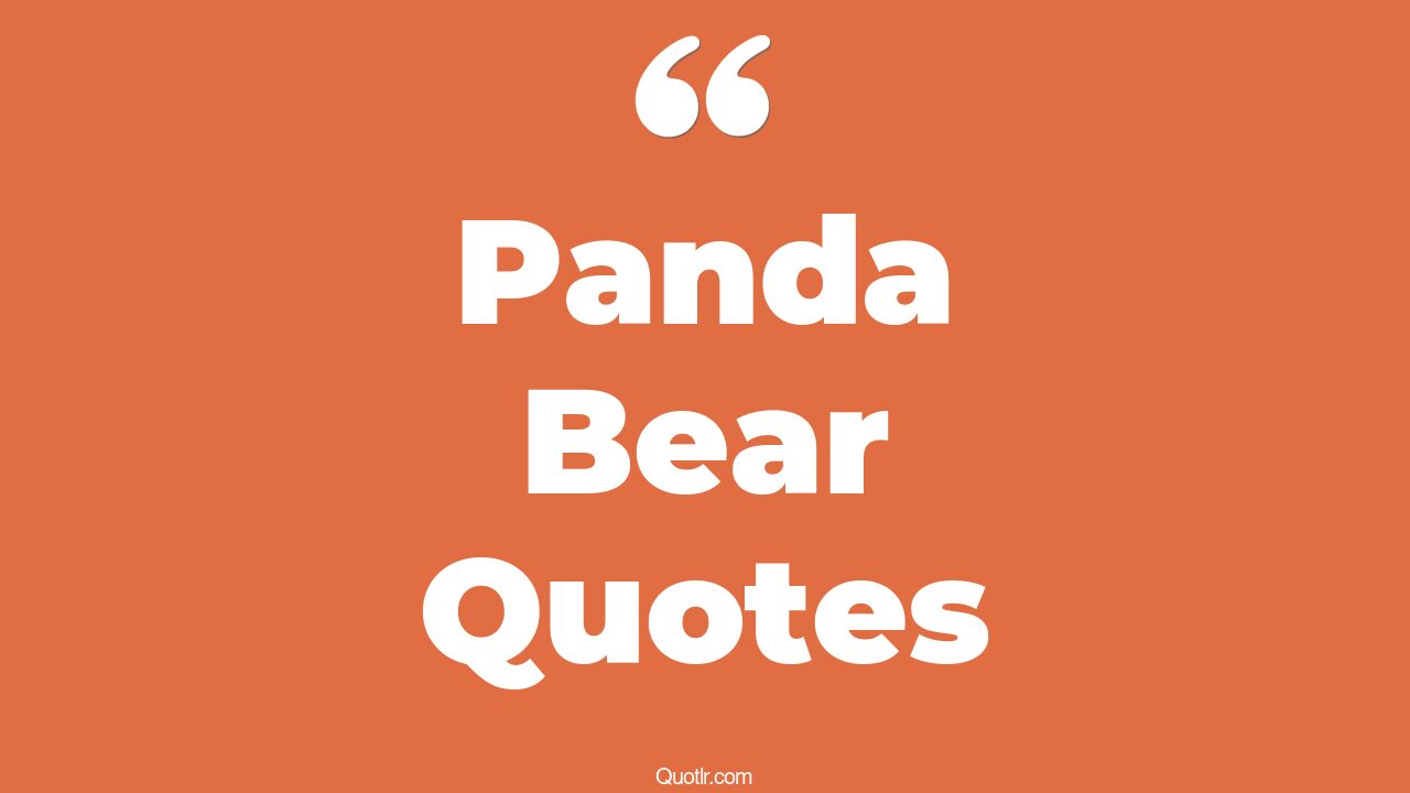 5 Top 165 Cute Panda Bear Quotes to Brighten Your Day