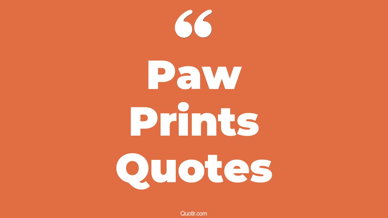 7+ Unconventional Paw Prints Quotes