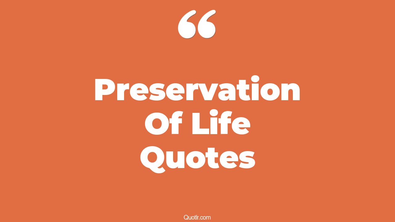 45+ Contentment Preservation Of Life Quotes That Will Unlock Your True ...