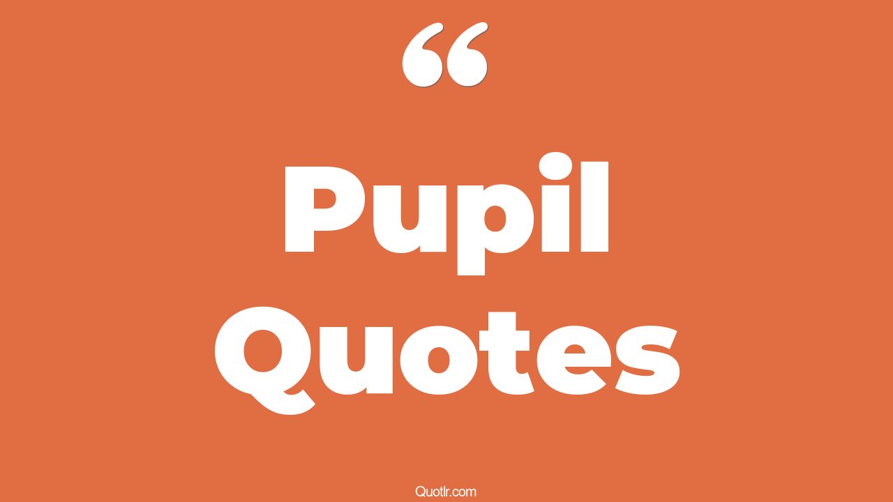 45+ Undeniable Pupil Quotes That Will Unlock Your True Potential