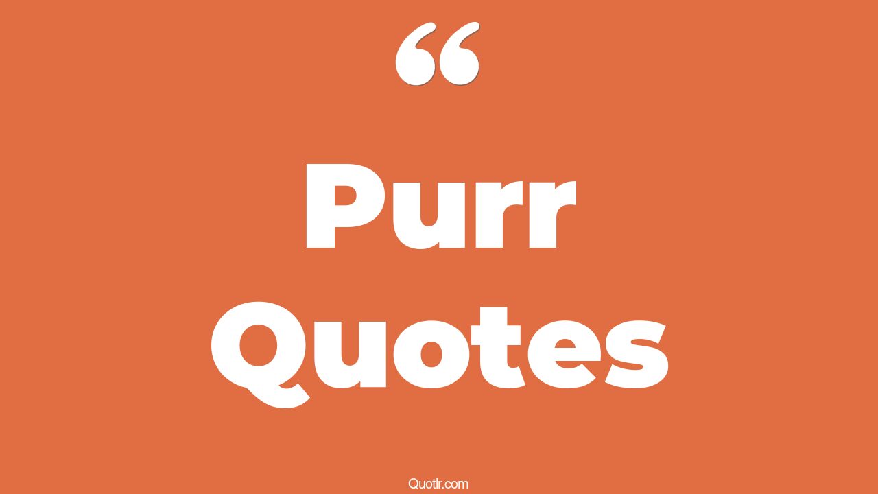 80+ Colorful Purr Quotes