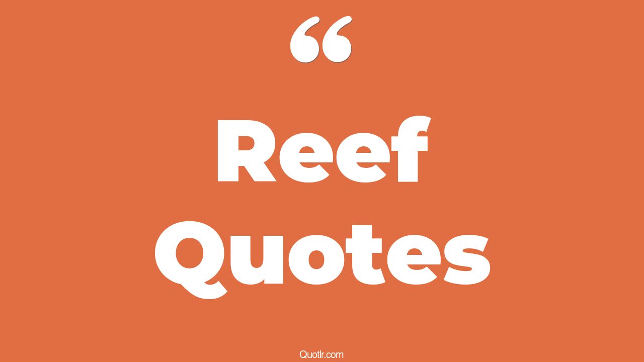 86 Sensual Reef Quotes (coral reef, protect coral reef, the first stone ...