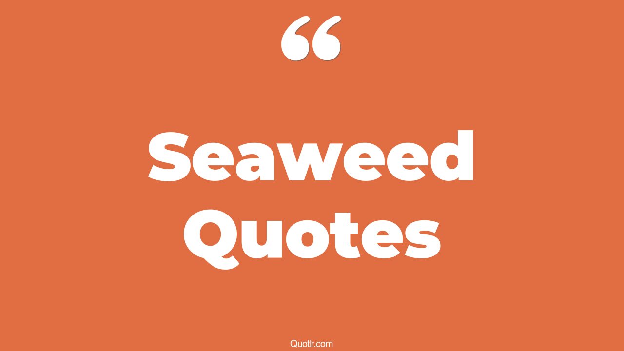 104 Beautiful Seaweed Quotes (seaweed brain, sea, how do you say ...