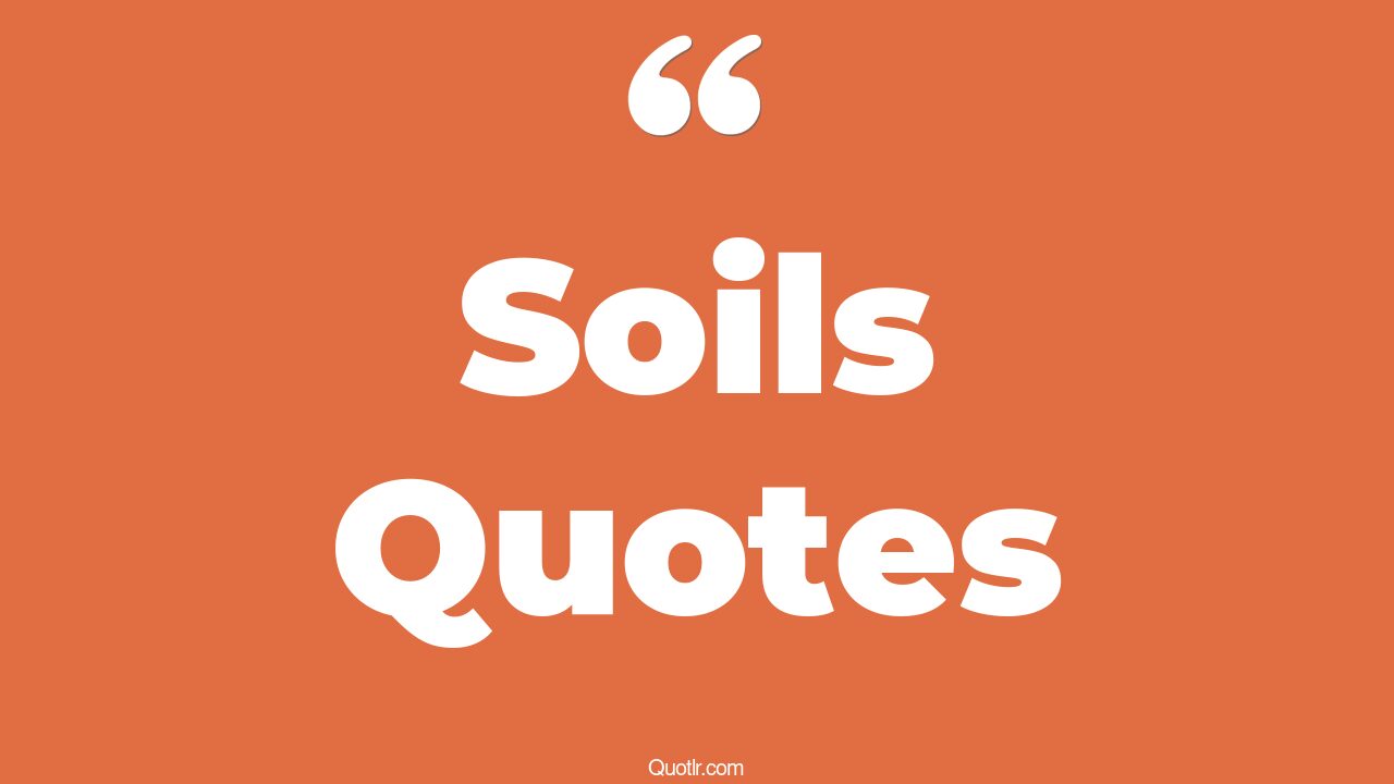 102 Cheerful Soils Quotes (fertile soil, growth of the soil, foreign soil)