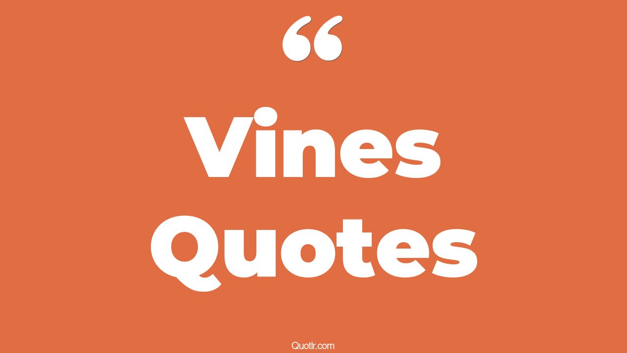 35+ Eye-Opening Vines Quotes That Will Inspire Your Inner Self