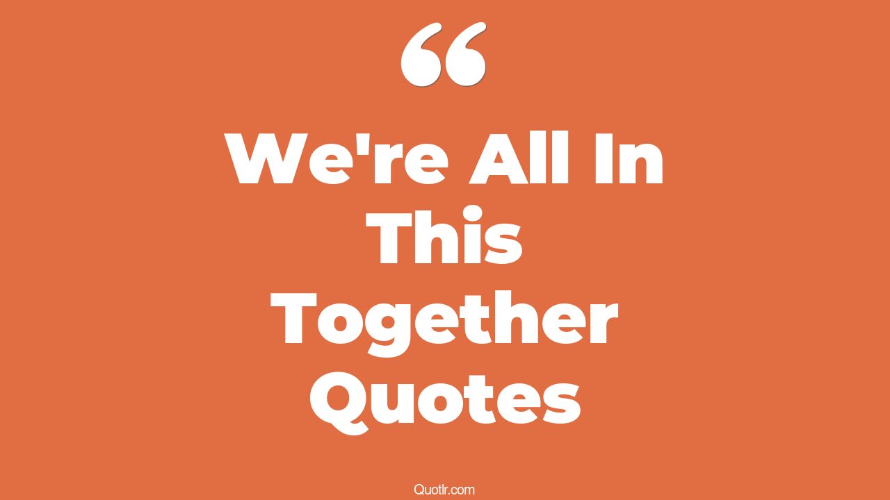 47+ Sentimental We're All In This Together Quotes That Will Unlock Your ...