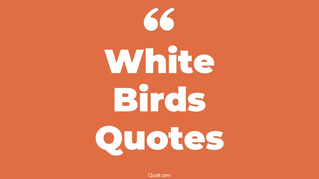 45+ Thrilling White Birds Quotes That Will Unlock Your True Potential