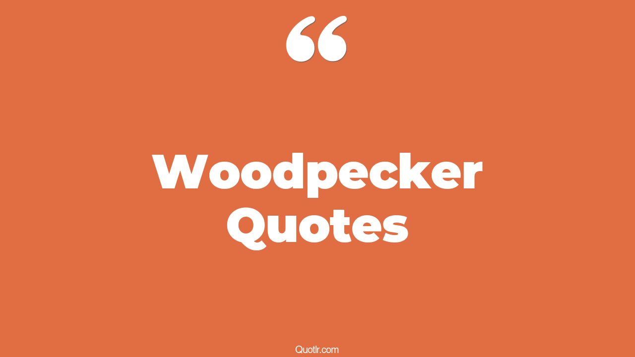 70+ Valuable Woodpecker Quotes That Will Unlock Your True Potential