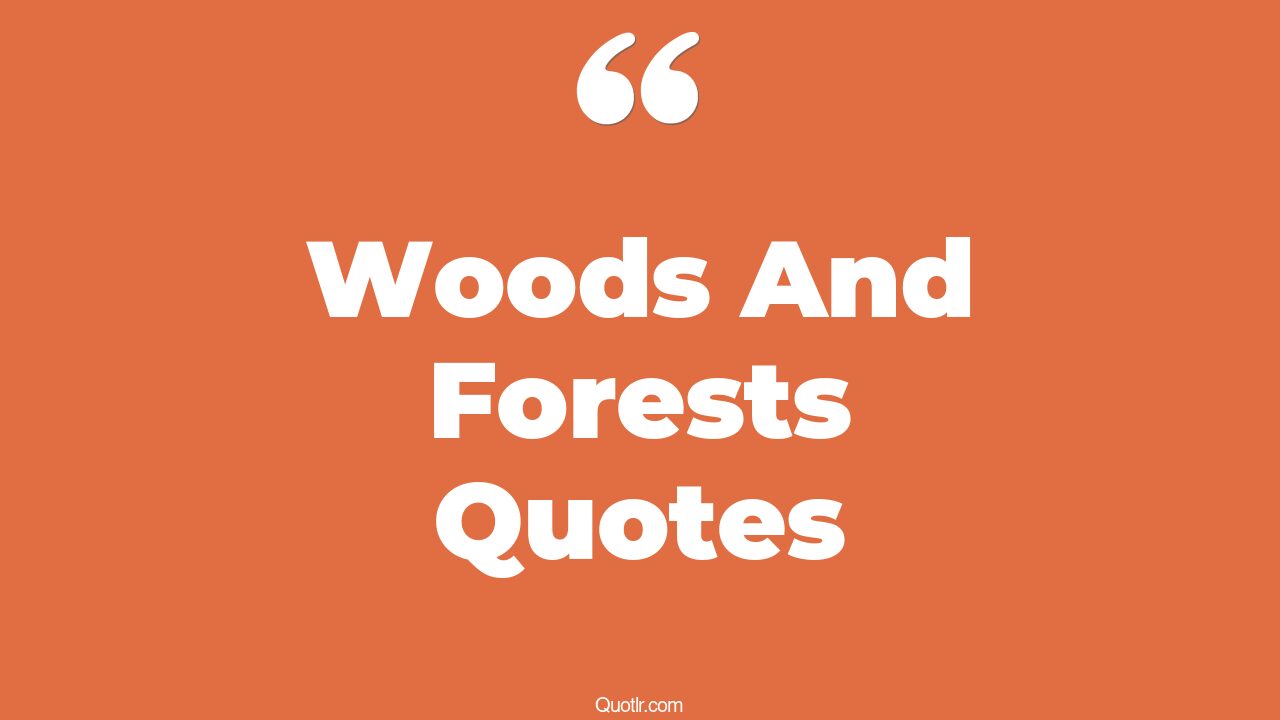45+ Memorable Woods And Forests Quotes That Will Unlock Your True Potential